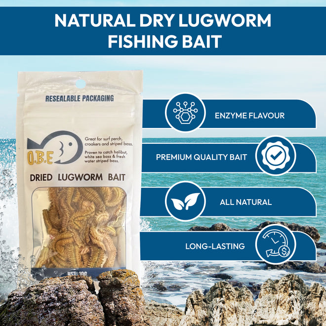 Catch More Fish with Dried Lugworms – Long Shelf Life & Mess-Free Bait ...